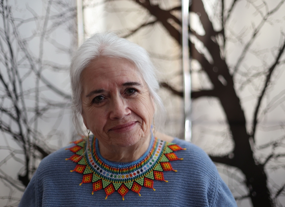 Littérature : « Cinq petits indiens » de Michelle Good (Collection voix ...